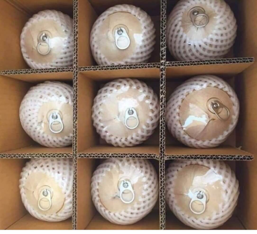 Coconut – Agrow Wholesale